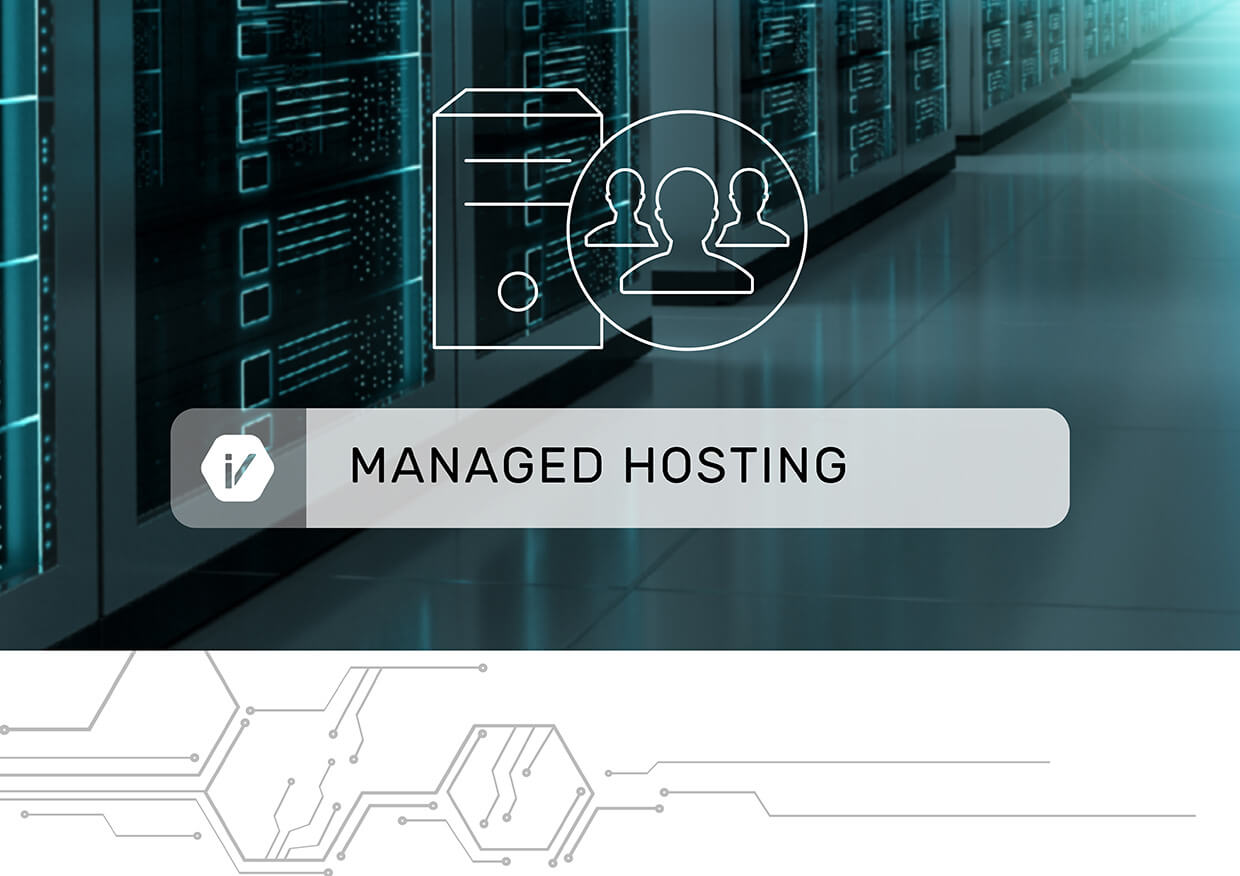 Internet Vikings Hosting Provider | Global Tailored Web Hosting Solutions